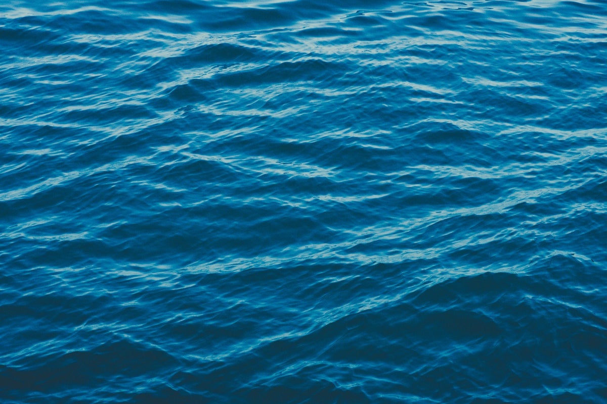 Passenger Vessels Shipbrokers International