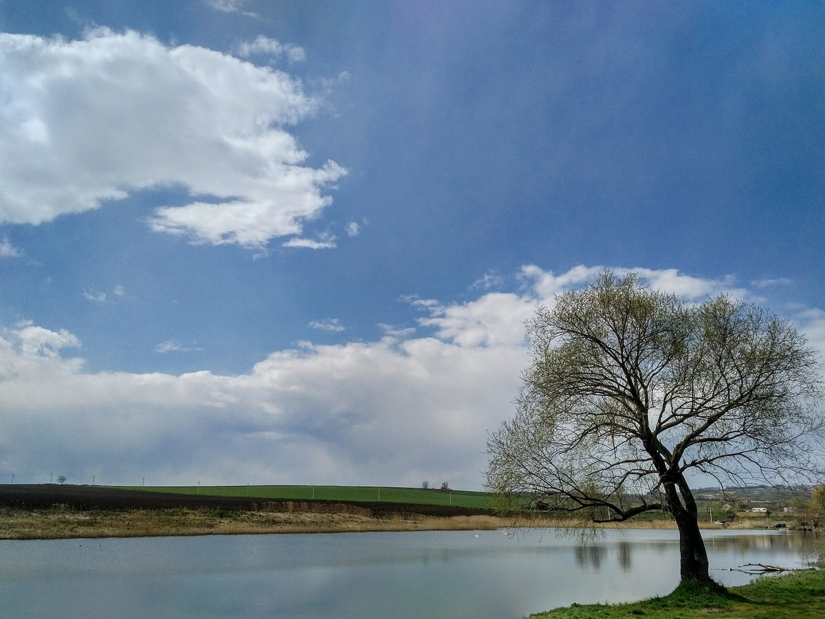 Rocket Land Services