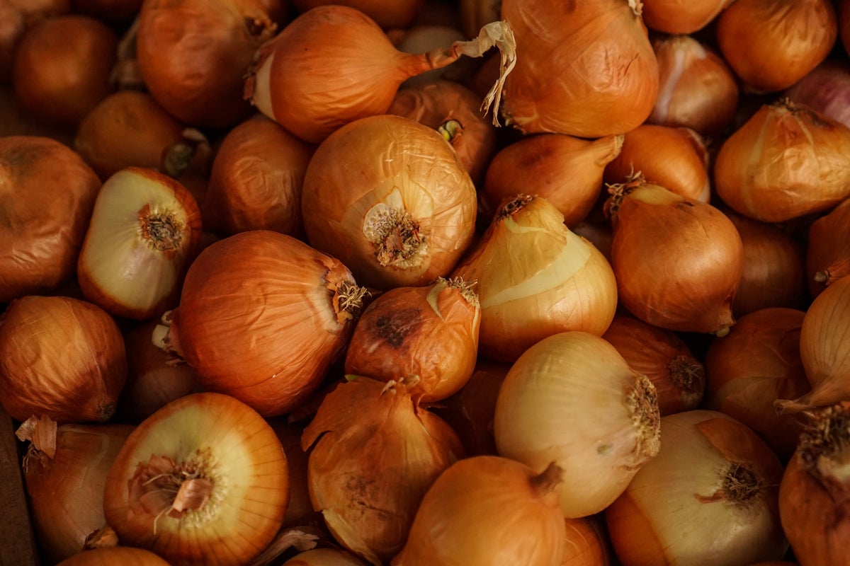 Sierui / Bollen & Knollen / Tuinplanten / Gardening | wesgeco