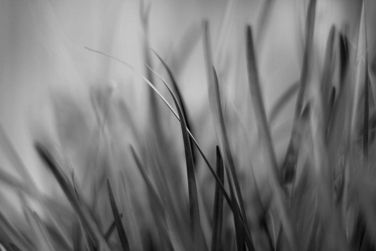 Tarifs Geoffroy Capron Naturopathe