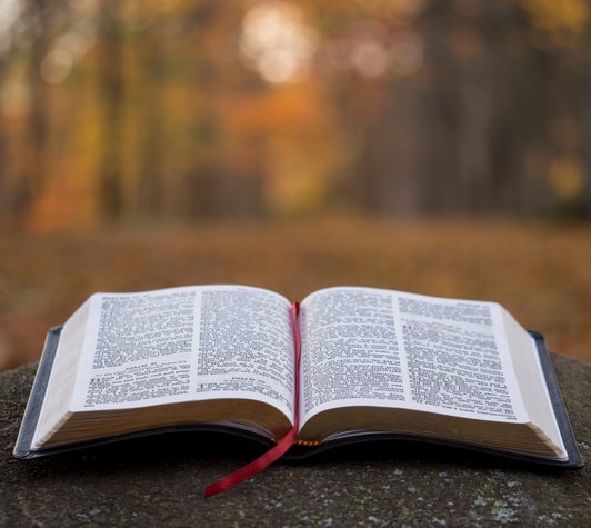 About | Valley Forge Christian Church