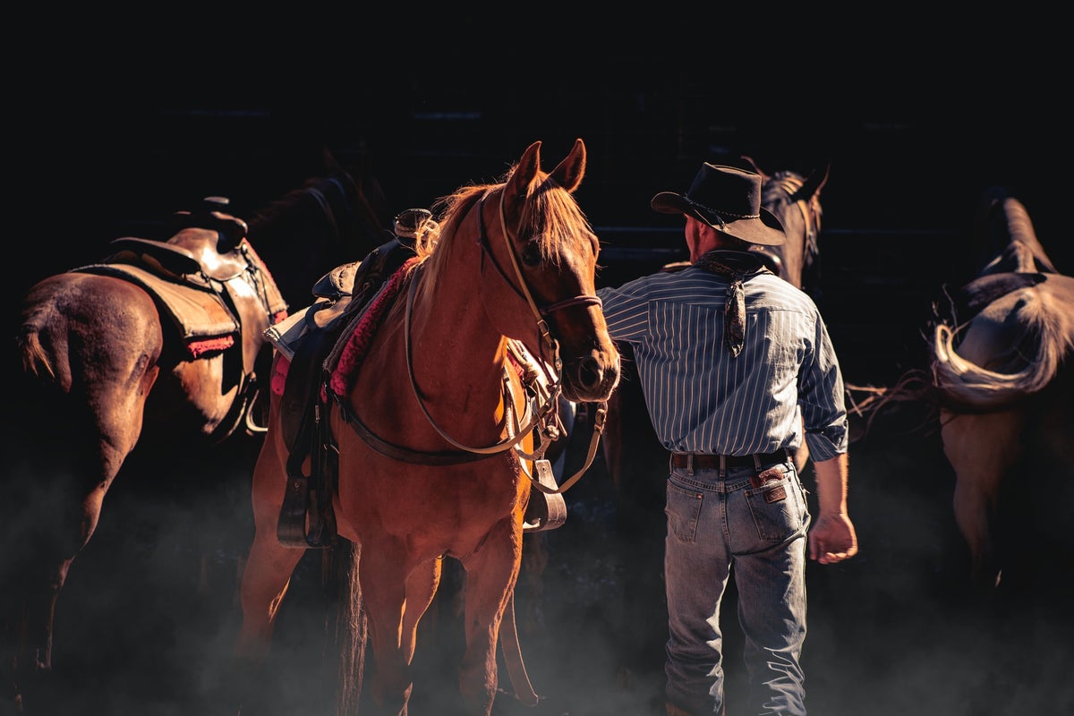 Western / Shop | Sportslife Limited
