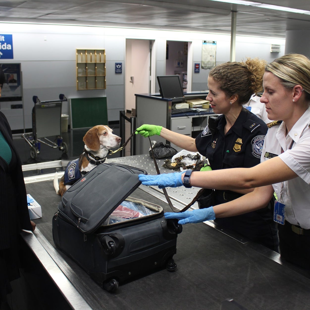 CUSTOMS, VAT & COMPLIANCE / Services | Logi Trans Group
