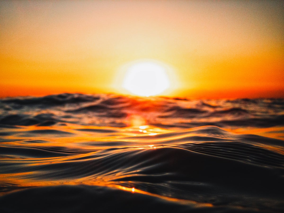 Contact | Sunset Baits