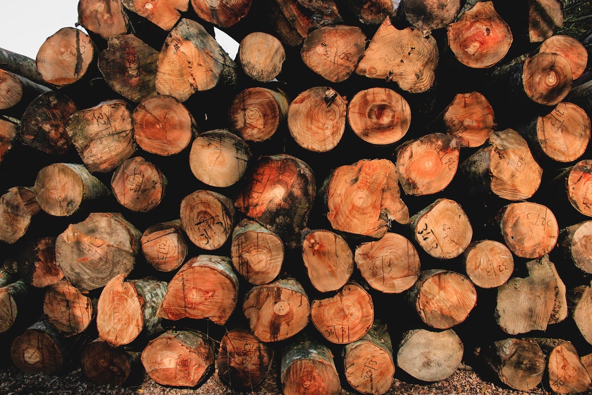 Re-Wood