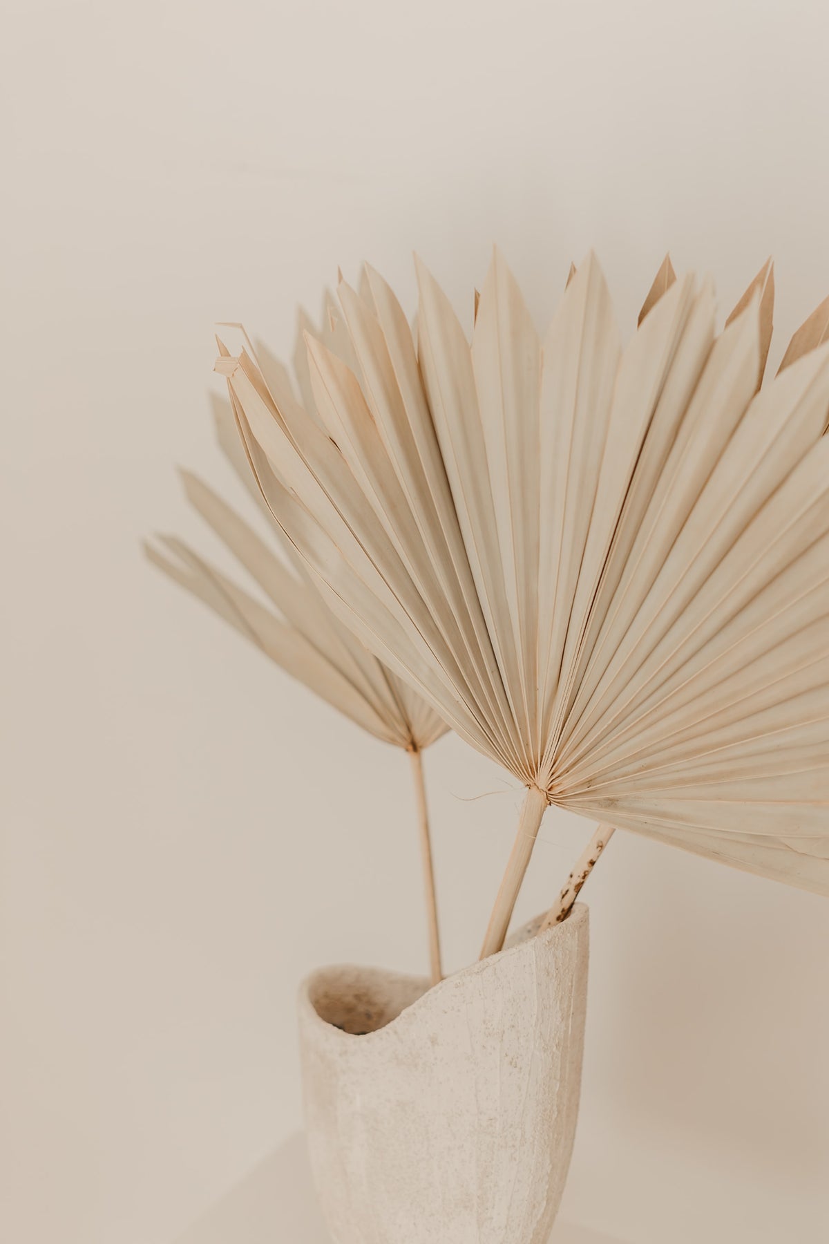 Afstaande oren / Gelaat | www.dokterklaracaers.be