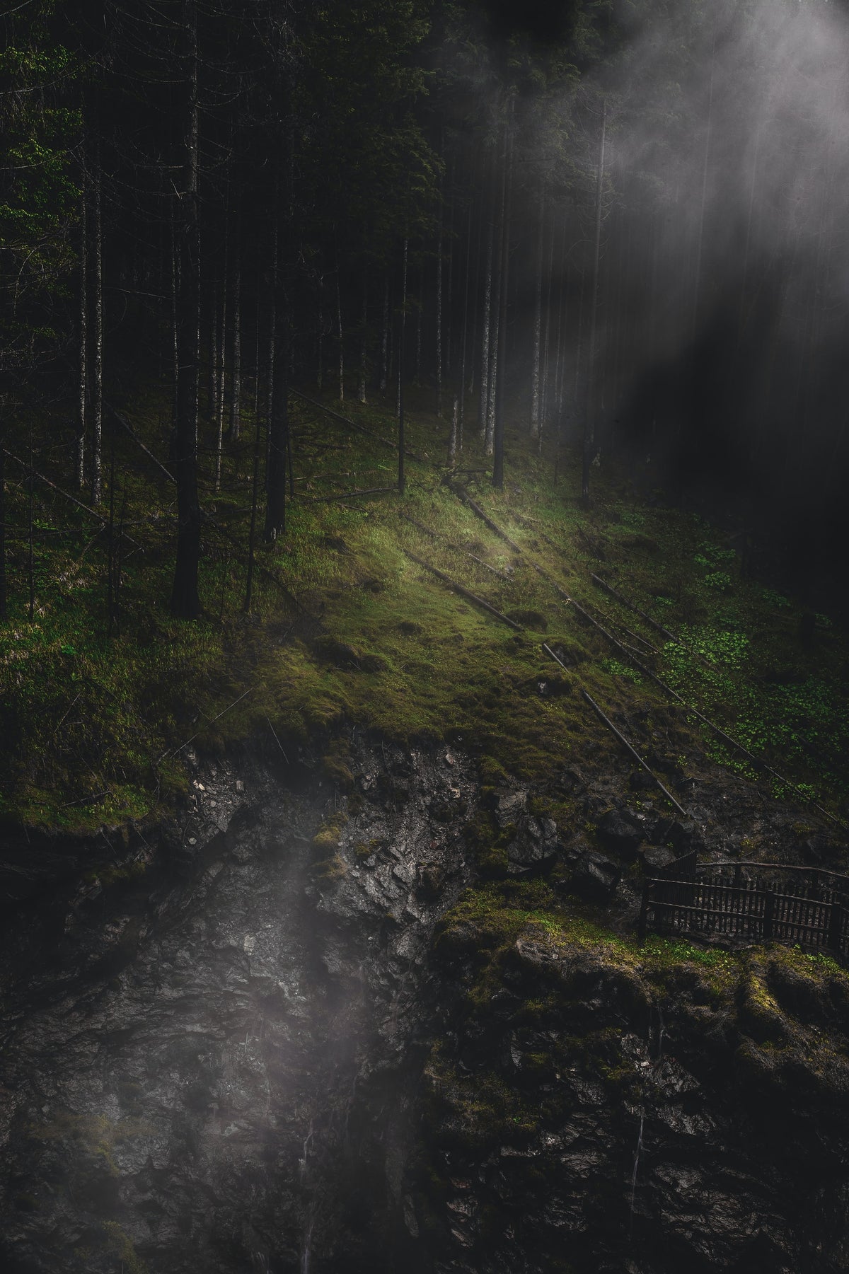 In het duister van het bos / Prozagedichten | De rivier van Minerva