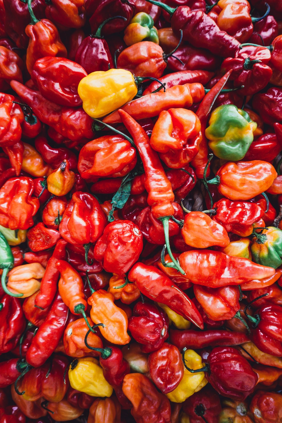 Pepper / A-z of spell ingredients / Witch tips, blogs, spells & more ...