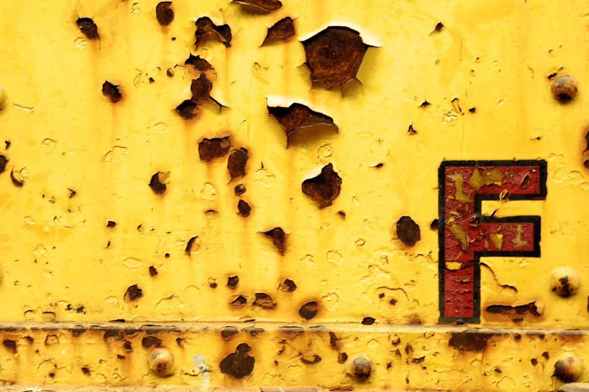 Breeds | Dog Register - Names, Breeds and Glossaries