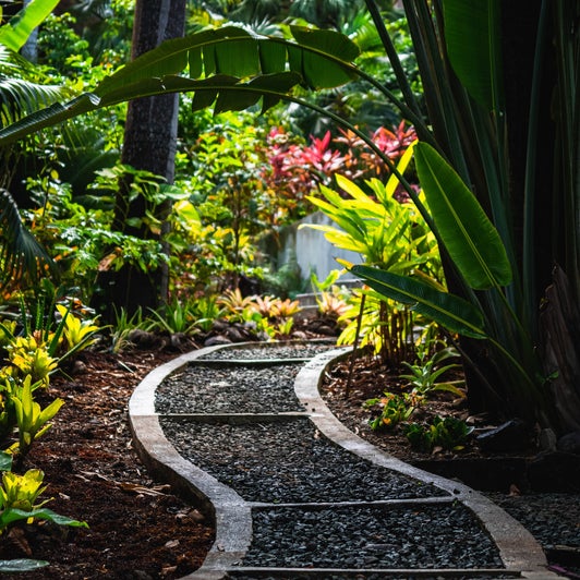 About us | AAA LANDSCAPING AND TREES
