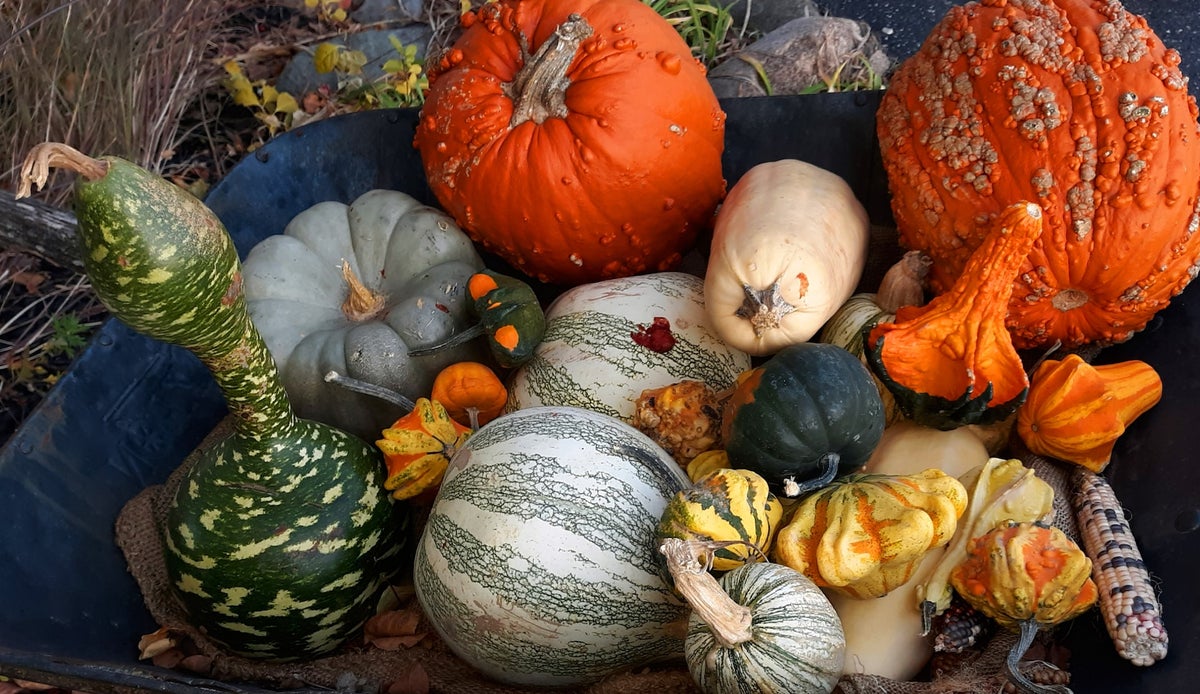 Mabon / Witch tips, blogs, spells & more | A Gaelic Witchery