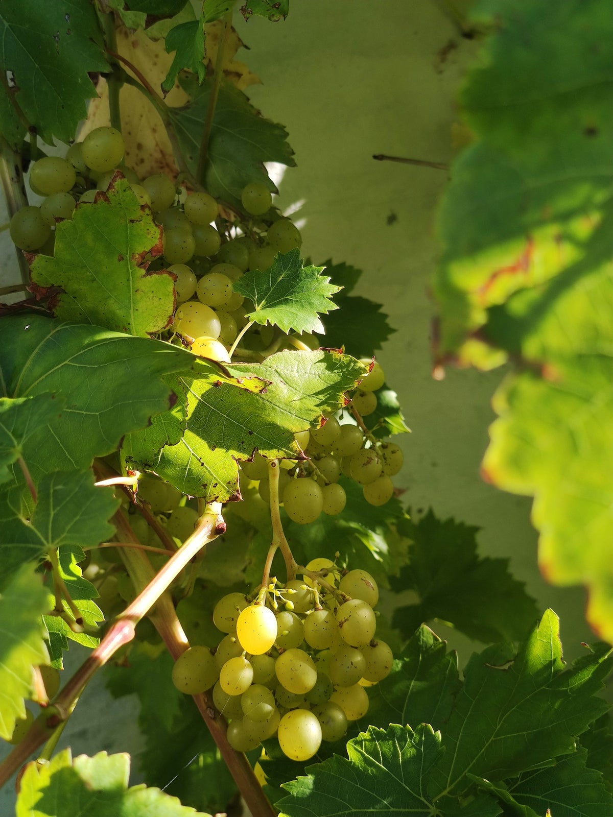 Mancy / Our house | Victor&Charles