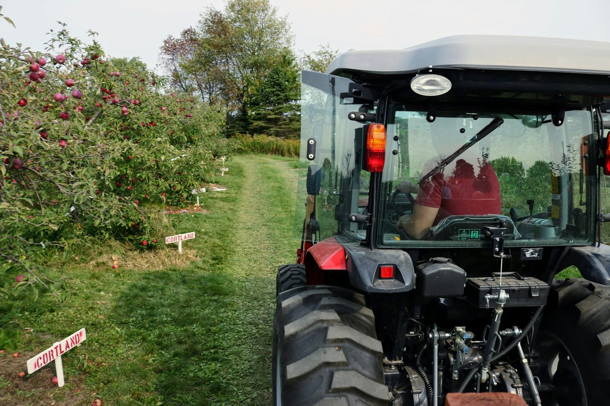 Fun Activities at Montrose Orchards | Family-Friendly Farm Experiences