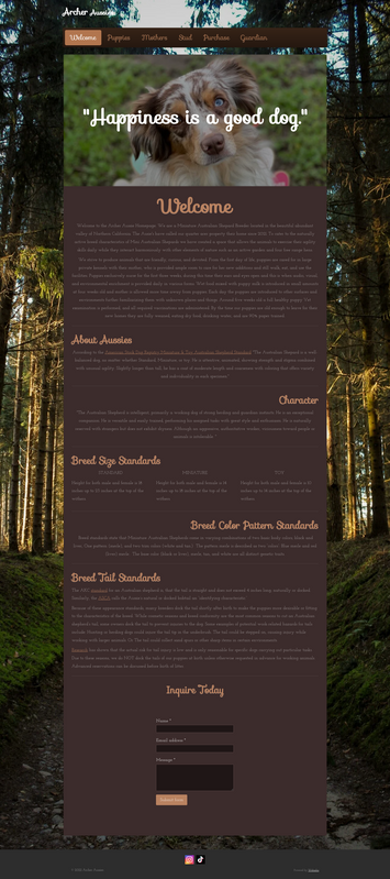 Example of websites built by clients | Webador