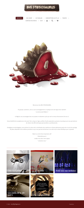 Example of websites built by clients | Webador