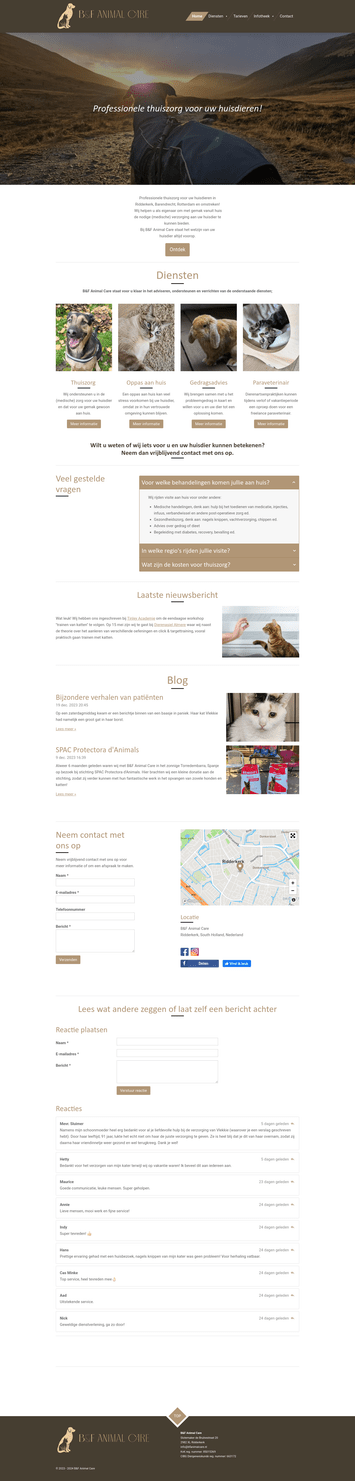 Example of websites built by clients | Webador